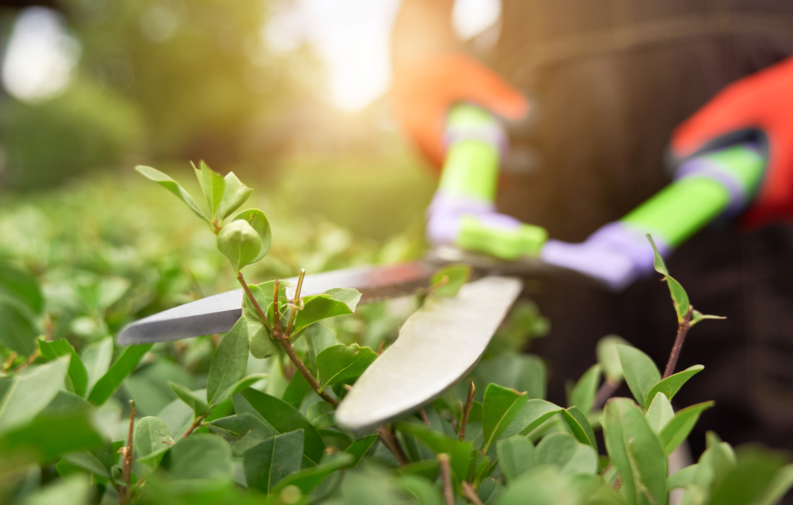 Careers – Turfdoc Landscaping